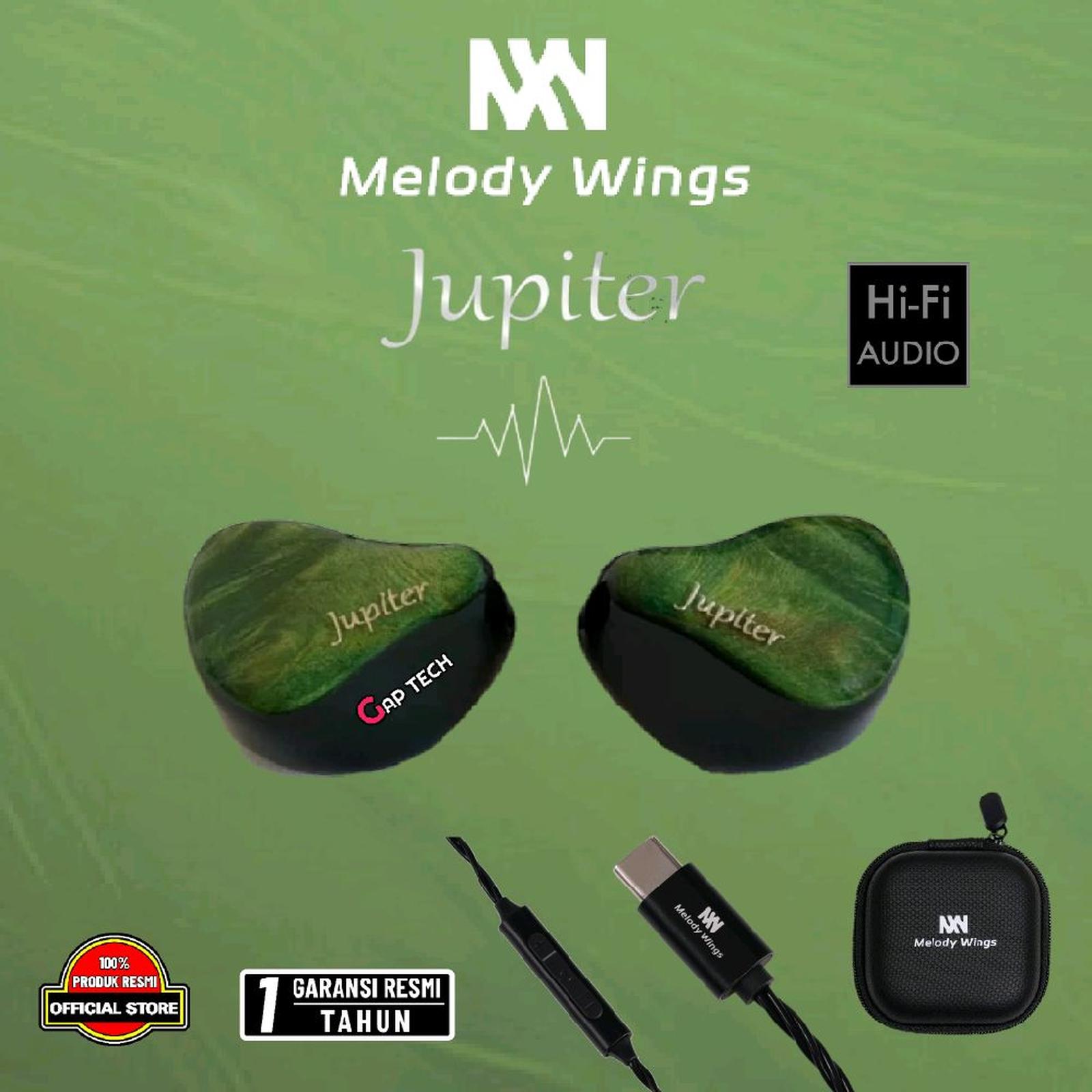 Melody Wings Jupiter Titanium Plated Dynamic Driver In Ear Monitor ...